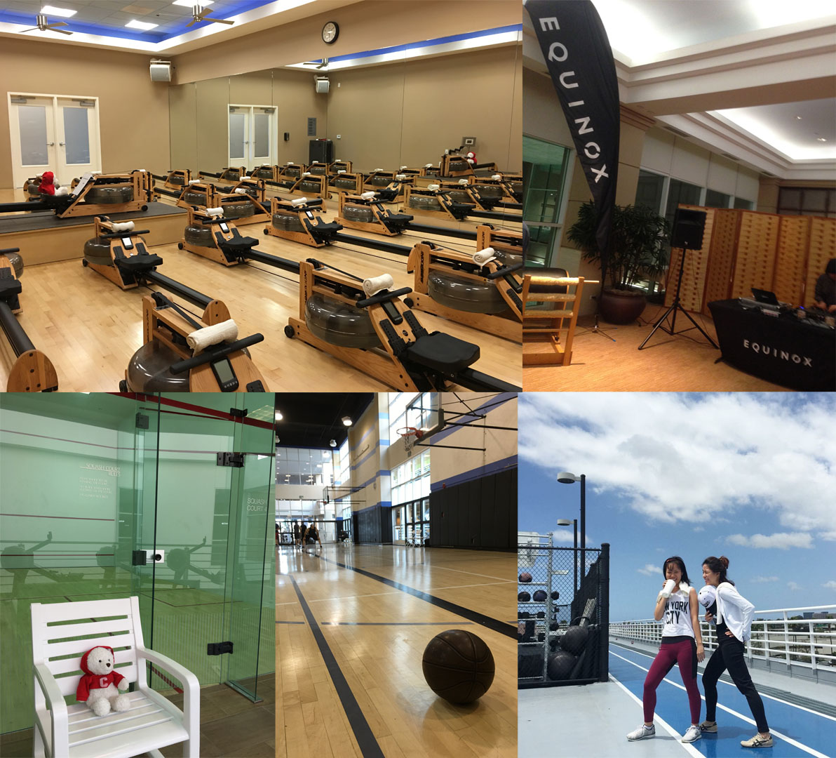 Equinox Irvine – Chai Bear World