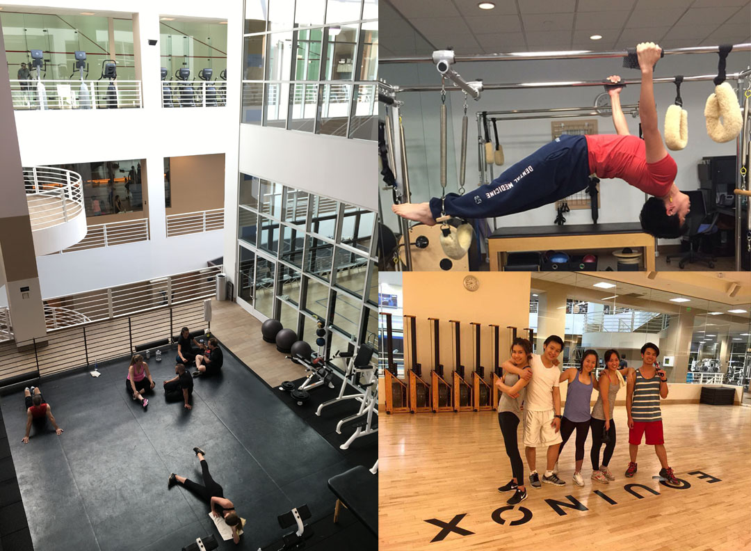 Equinox Irvine – Chai Bear World