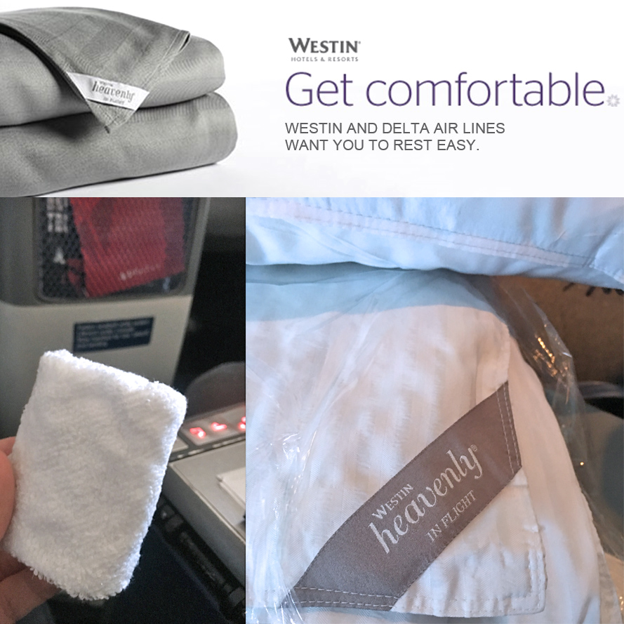 Delta One Transcontinental Business Class – Chai Bear World