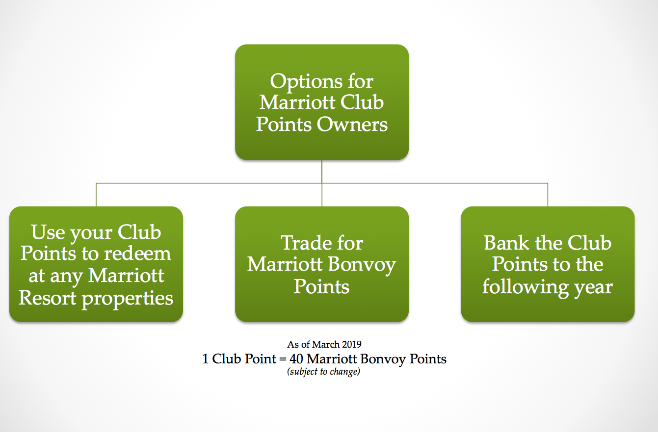 Marriott Timeshare Vacation Club Points Explained – Chai Bear World