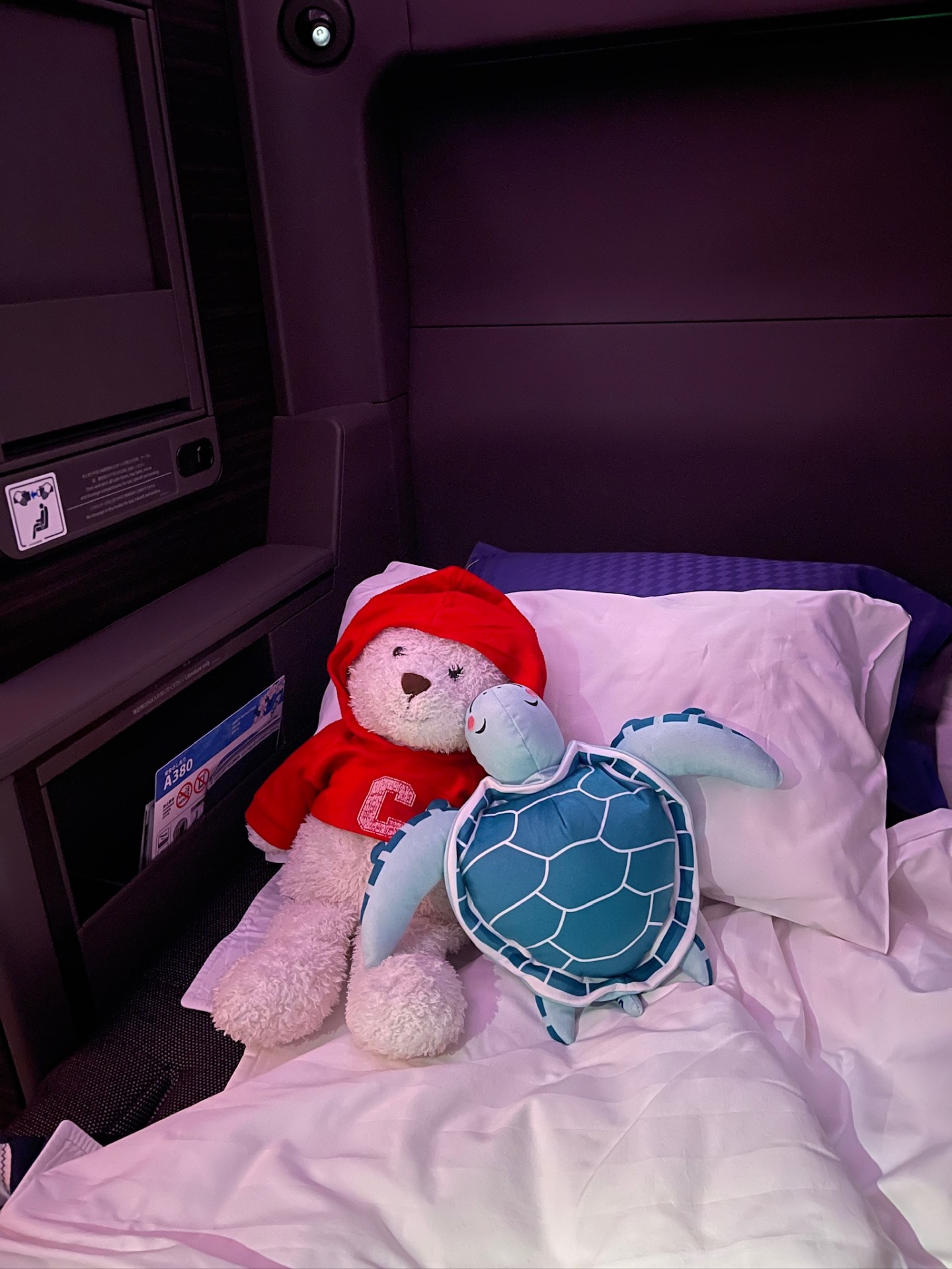 ANA A380 Flying Honu First Class – Chai Bear World