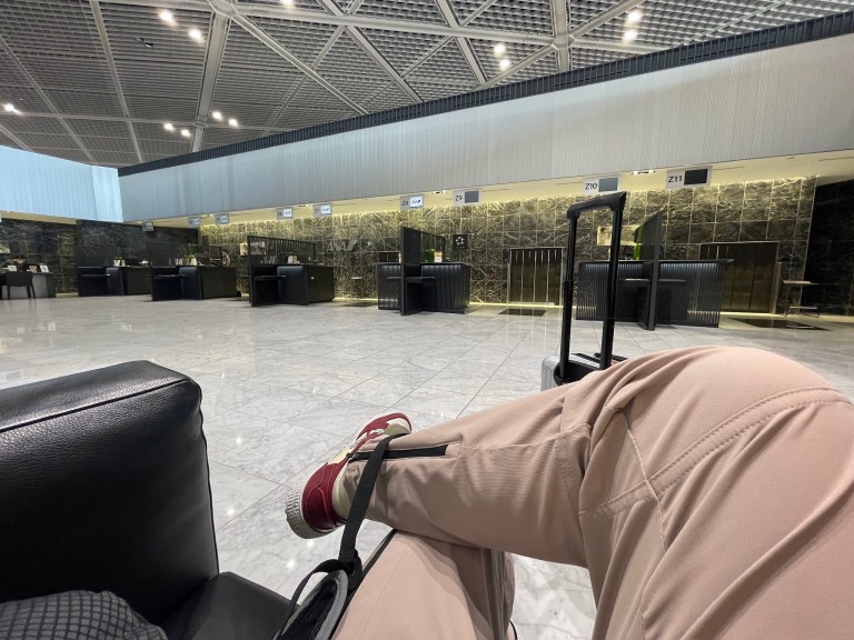 ANA A380 Flying Honu First Class – Chai Bear World