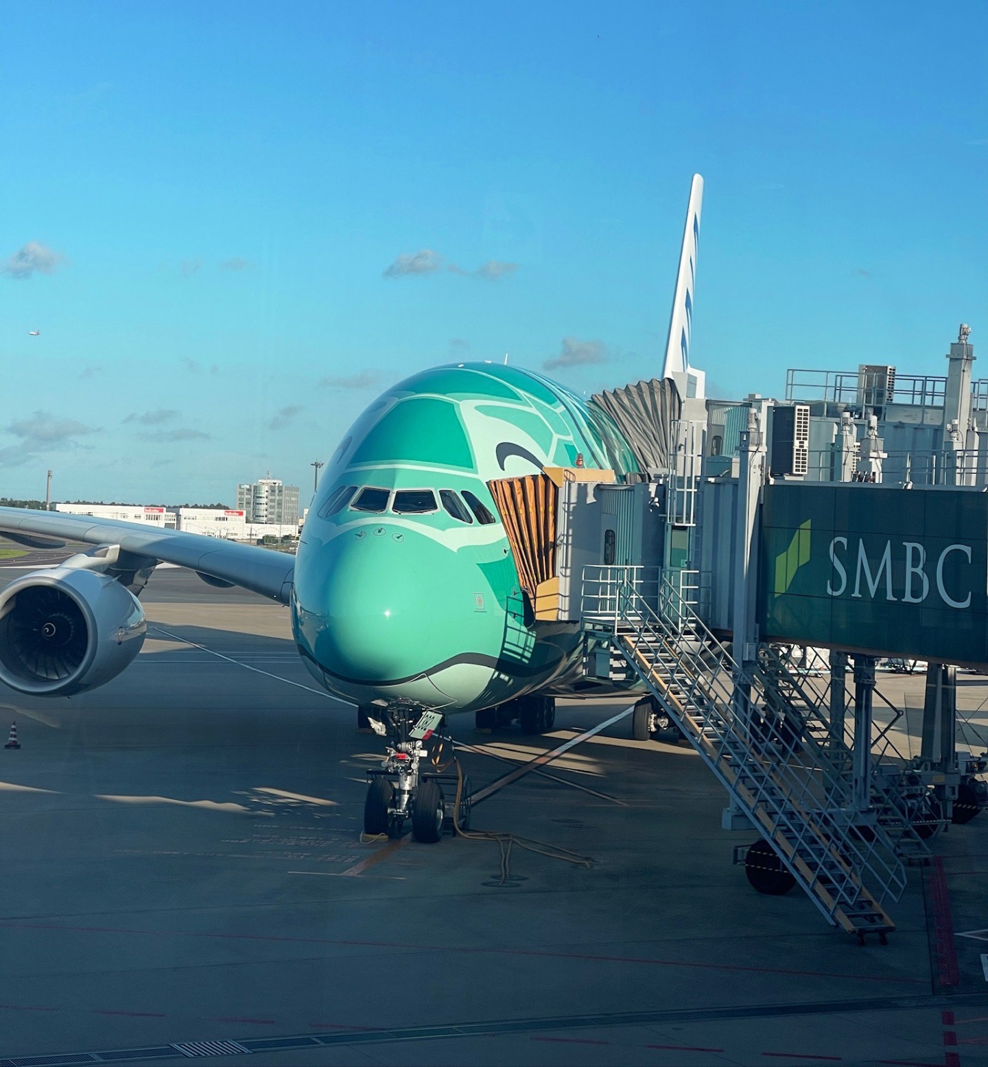 ANA A380 Flying Honu First Class – Chai Bear World